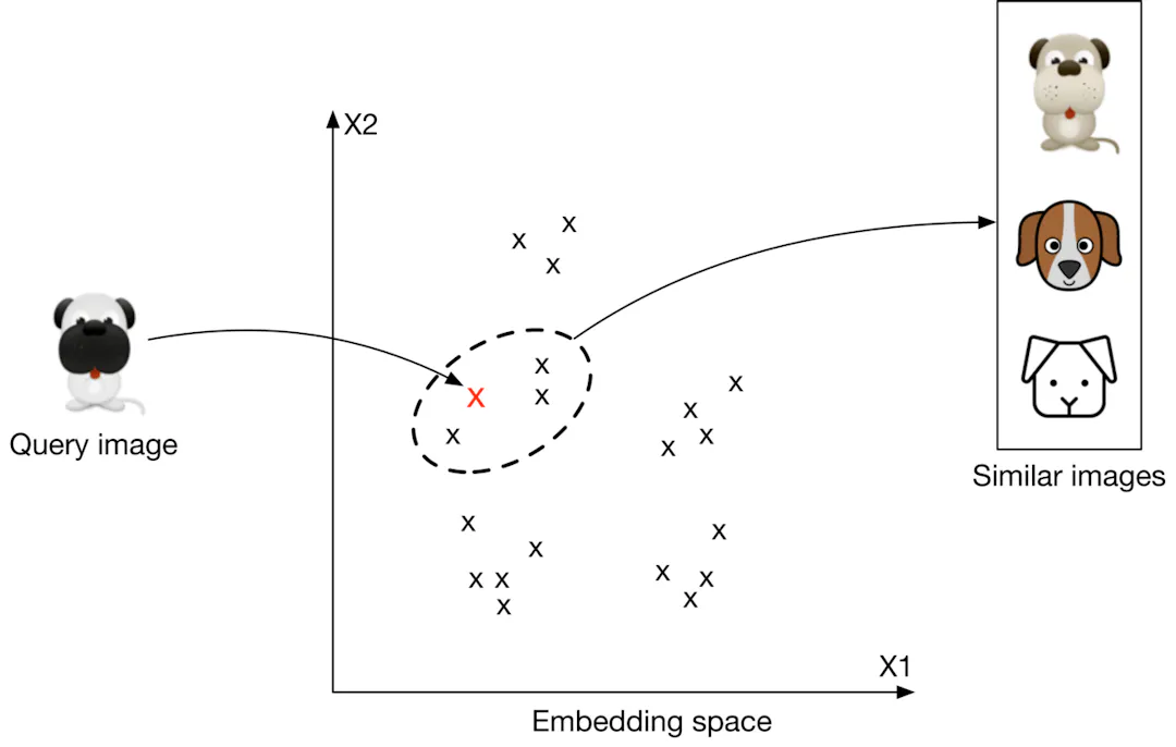Visual search system